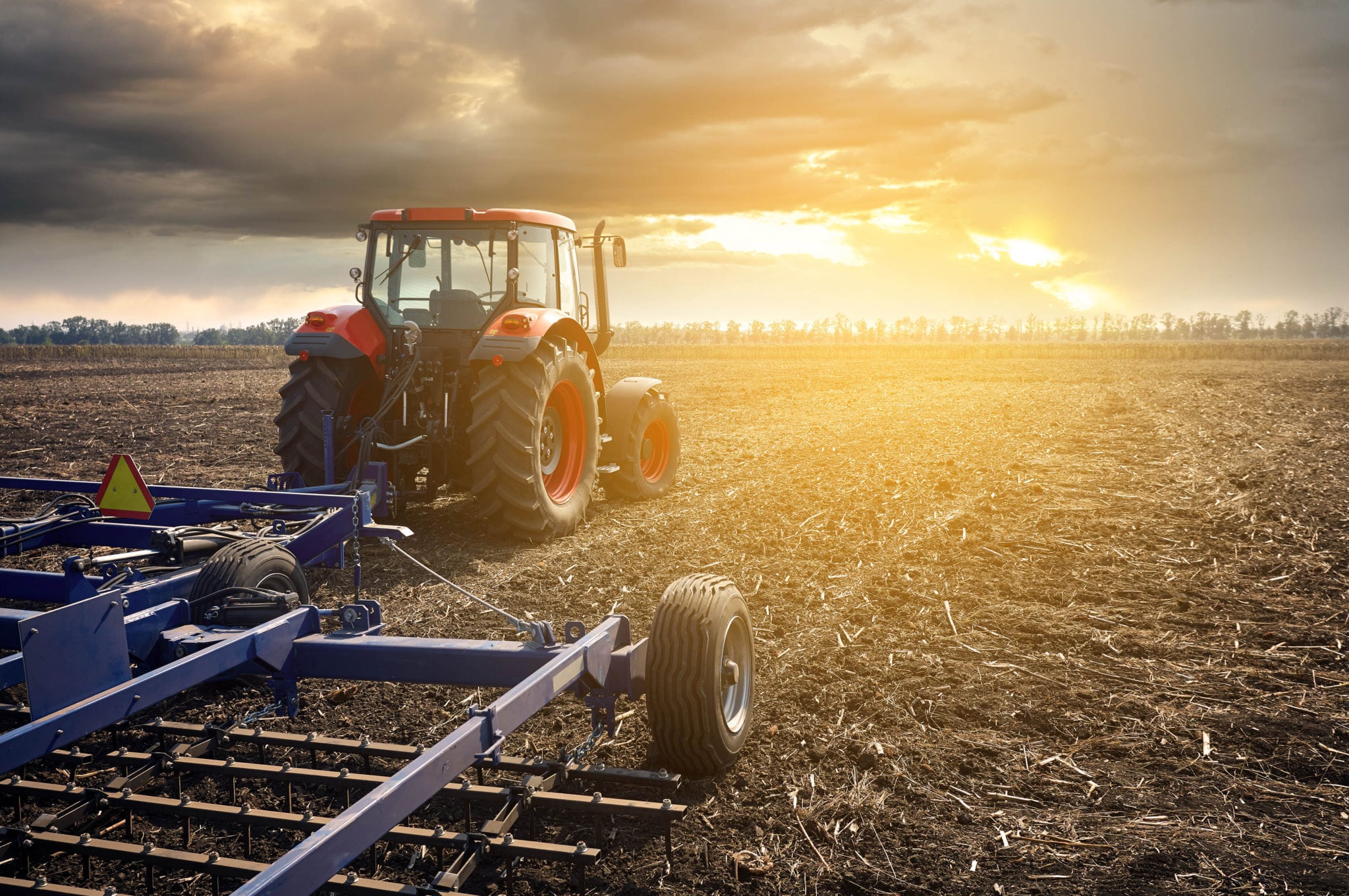Clearing Sales | South Australian Livestock